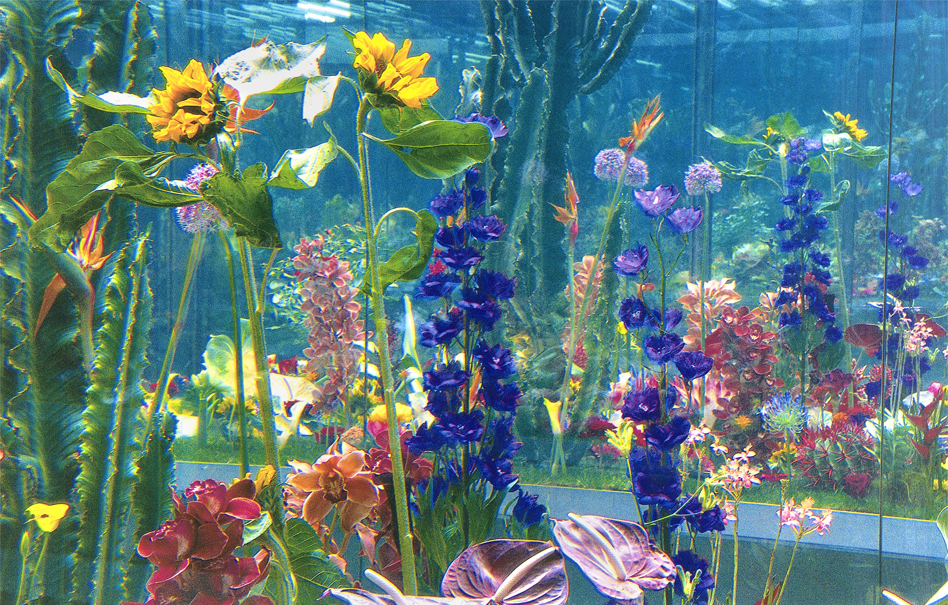 Life springs eternal | Yale Center for British Art